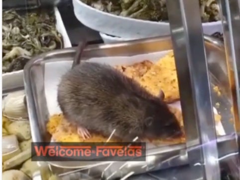 Supermarket owner ‘blackmailed’ after rat filmed feasting on food at ...