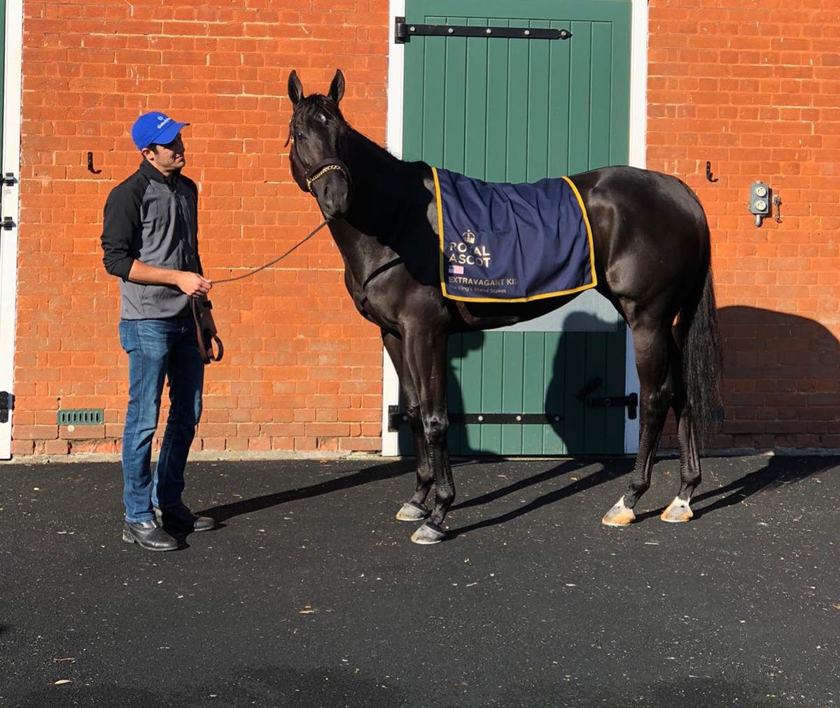 American speedster Extravagant Kid all set for King’s Stand | The ...