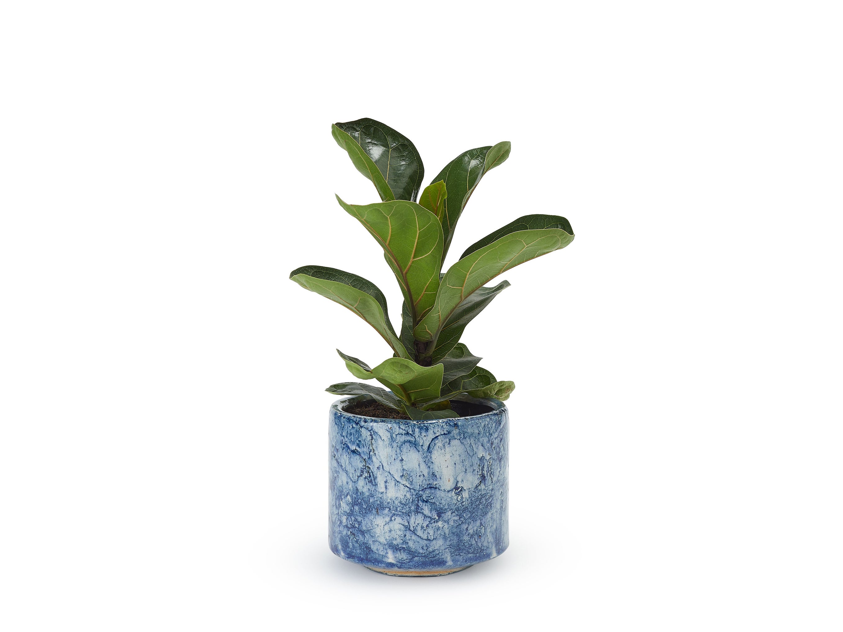 Blissful blue: 12 ways to work the world’s most calming colour into ...