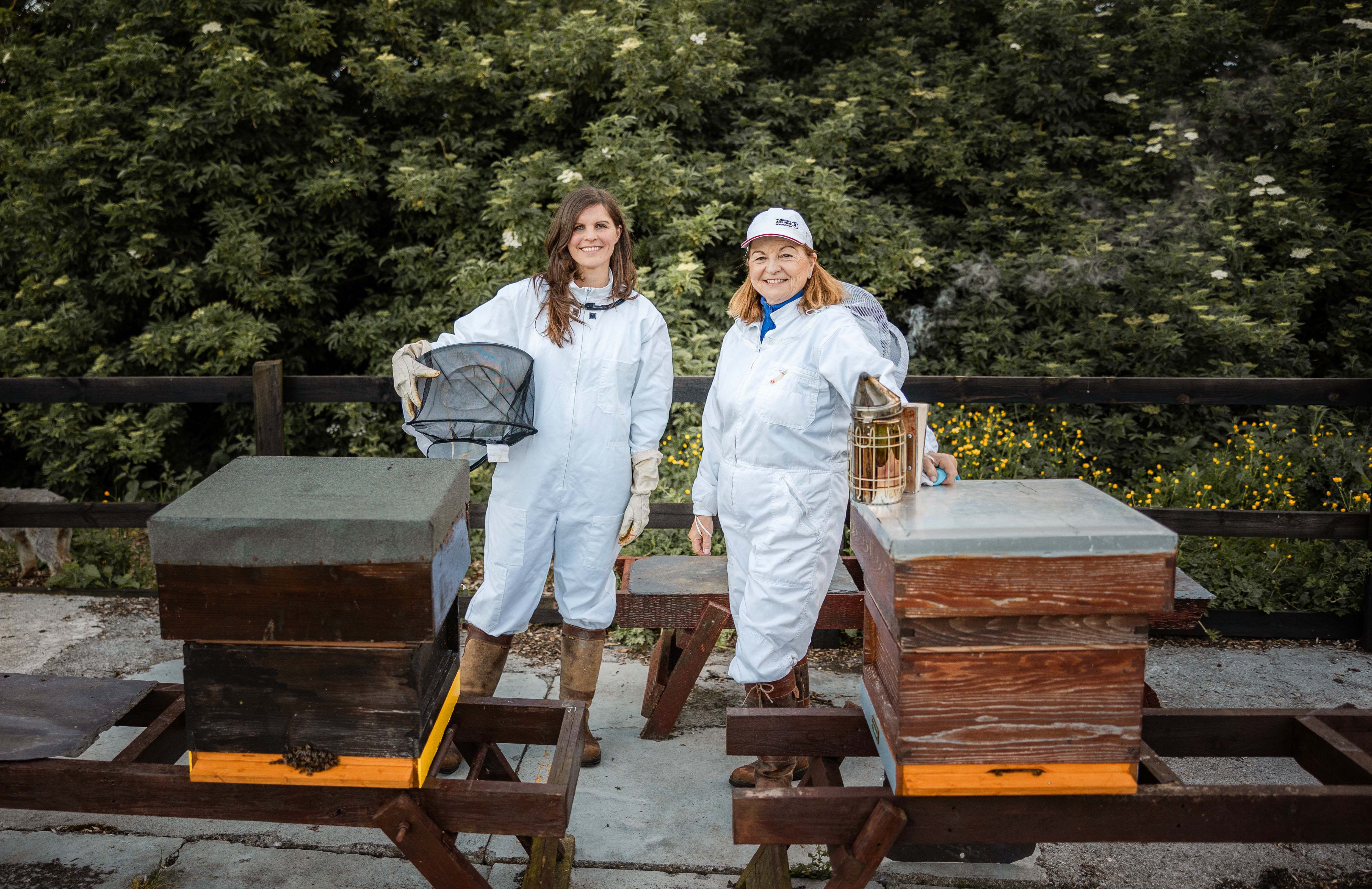 Swarm of bees inspires mother and daughter to create new gin | indy100