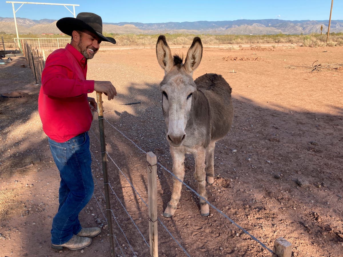 Trump cowboy Couy Griffin faces uncertain political future | The ...