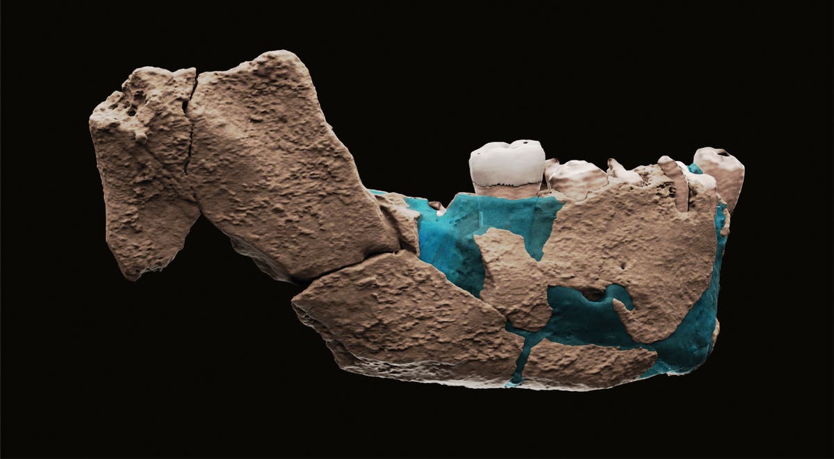 120,000-year-old fossils in Israel link to human family tree ...