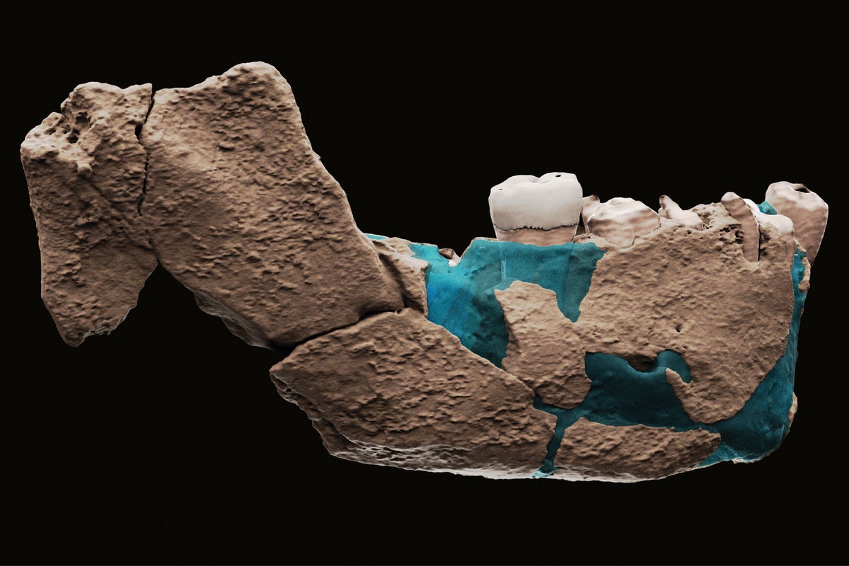 120,000-year-old fossils in Israel link to human family tree ...
