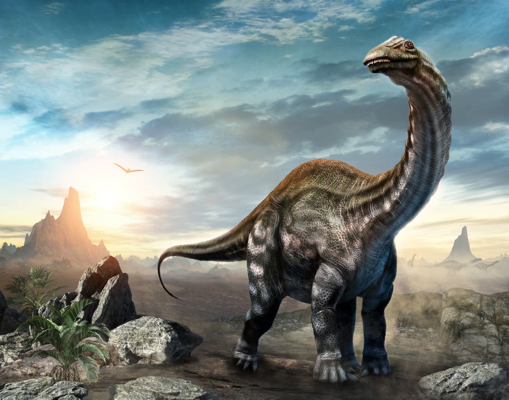 Climate change pushed dinosaurs into decline 10 million years before ...
