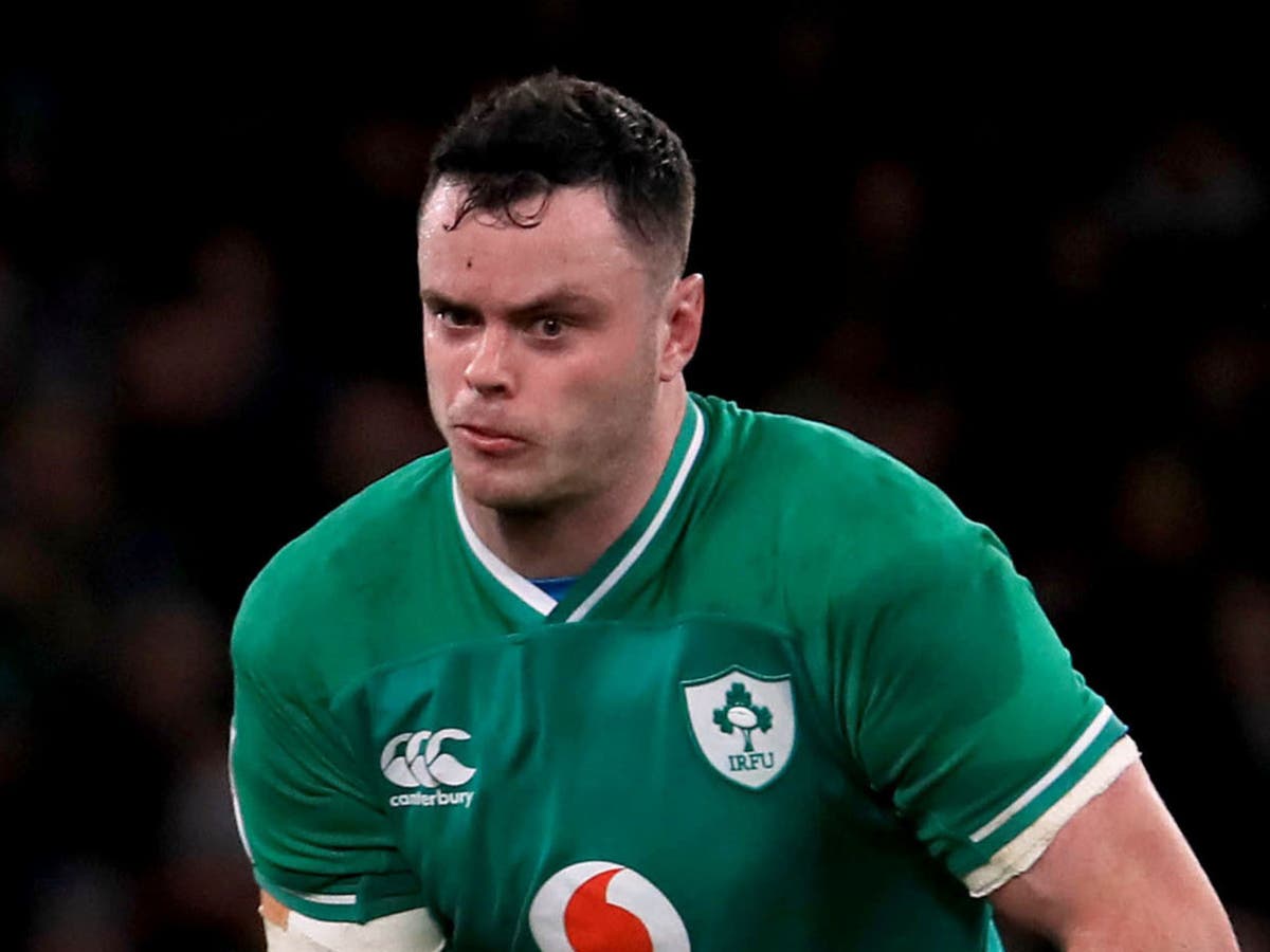 James Ryan fit to skipper Ireland against Japan | The Independent