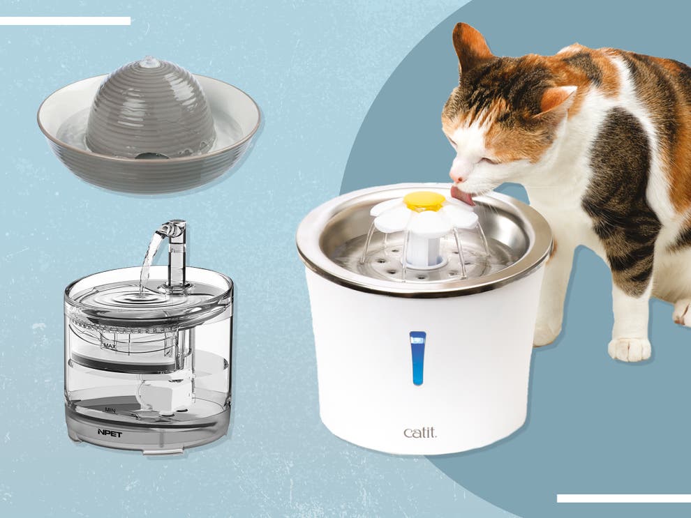 Best cat water fountain 2021: Encourage drinking for your pet | The ...