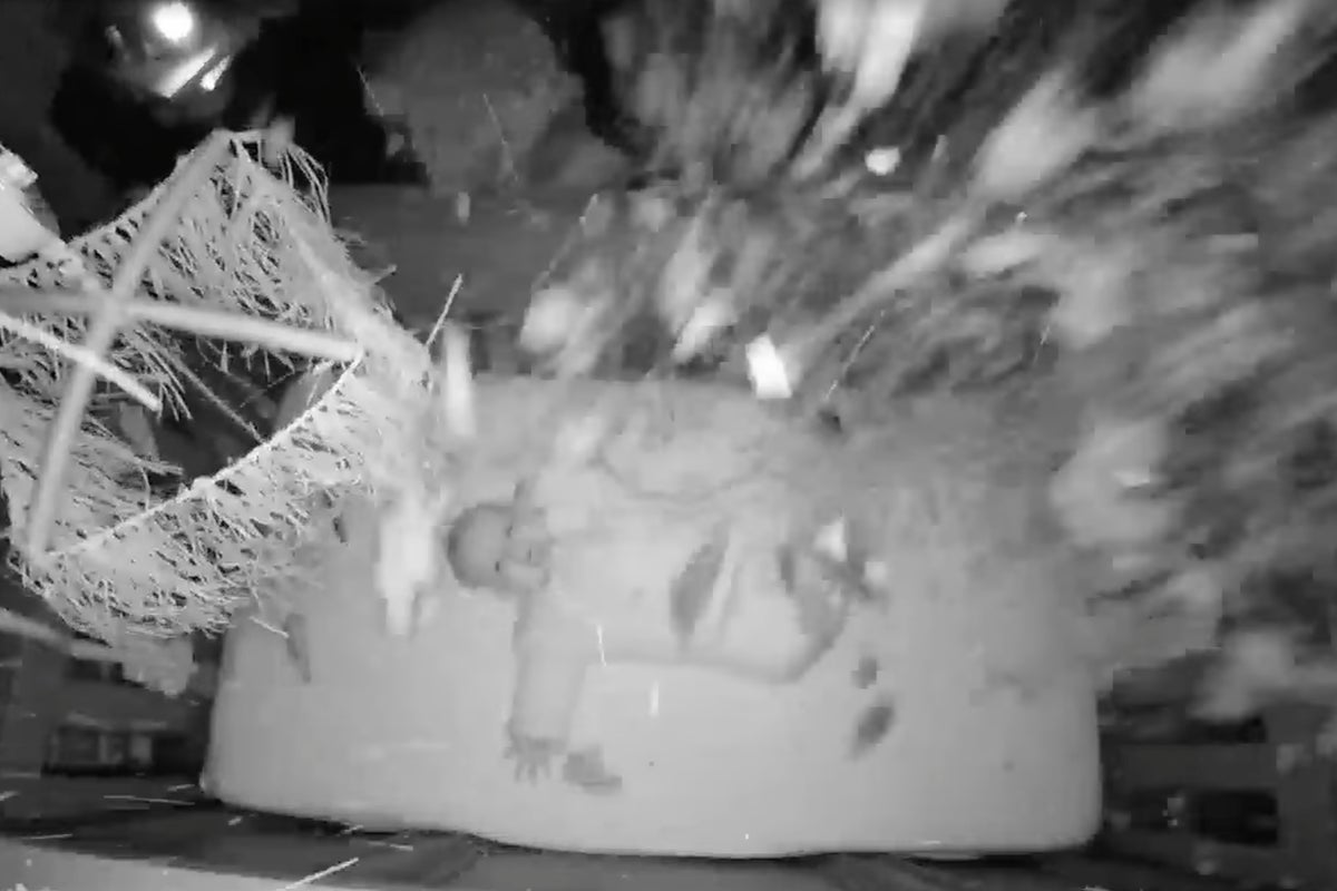 Video of tree crashing into home and almost hitting five-month-old baby ...