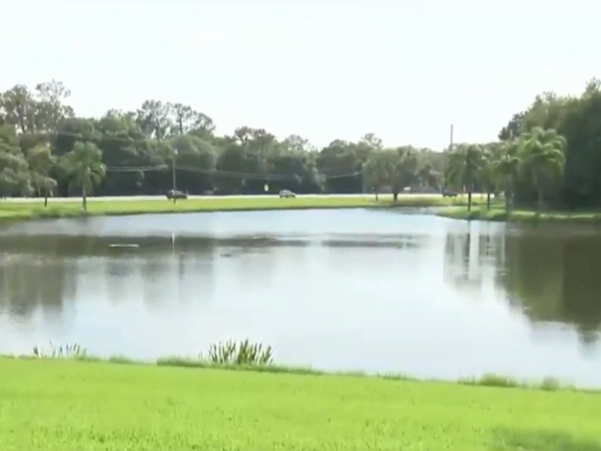 Woman found dead in possible alligator attack | The Independent