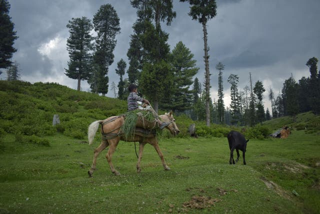 Kashmir’s nomadic tribes of Gujjar and Bakarwal | The Independent