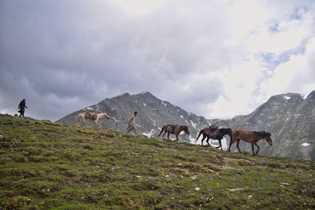Kashmir’s nomadic tribes of Gujjar and Bakarwal | The Independent