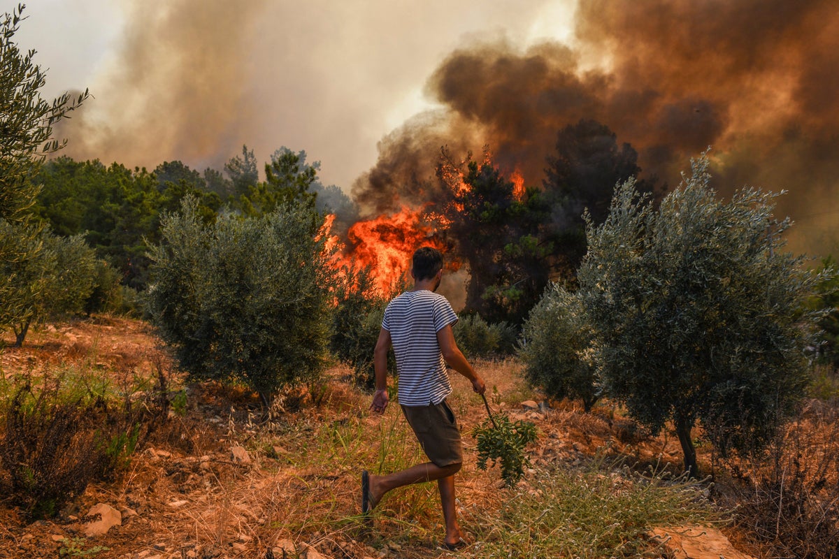 Turkey wildfires: Six now dead and hundreds homeless as devastating ...