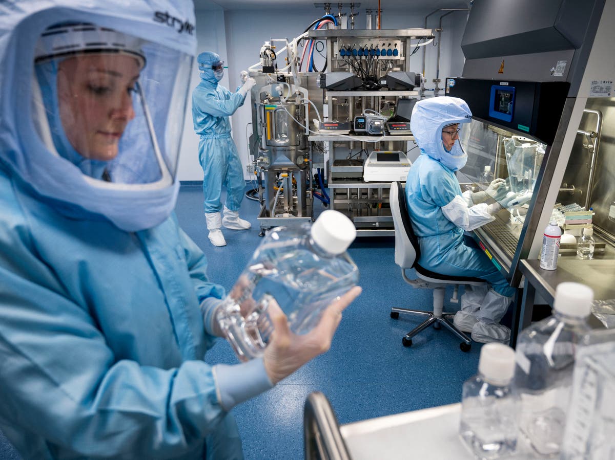 Government must invest more in RNA vaccine technology, says scientist ...