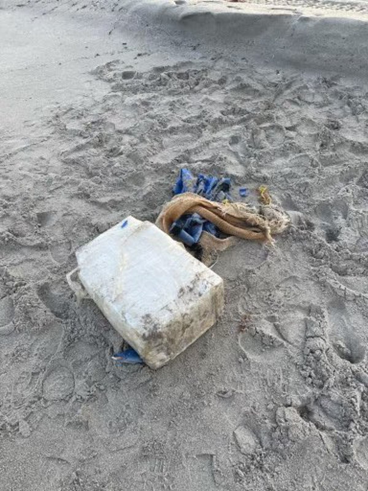Florida Keys: Beachgoer finds $1mn in cocaine washed up on sand | The ...
