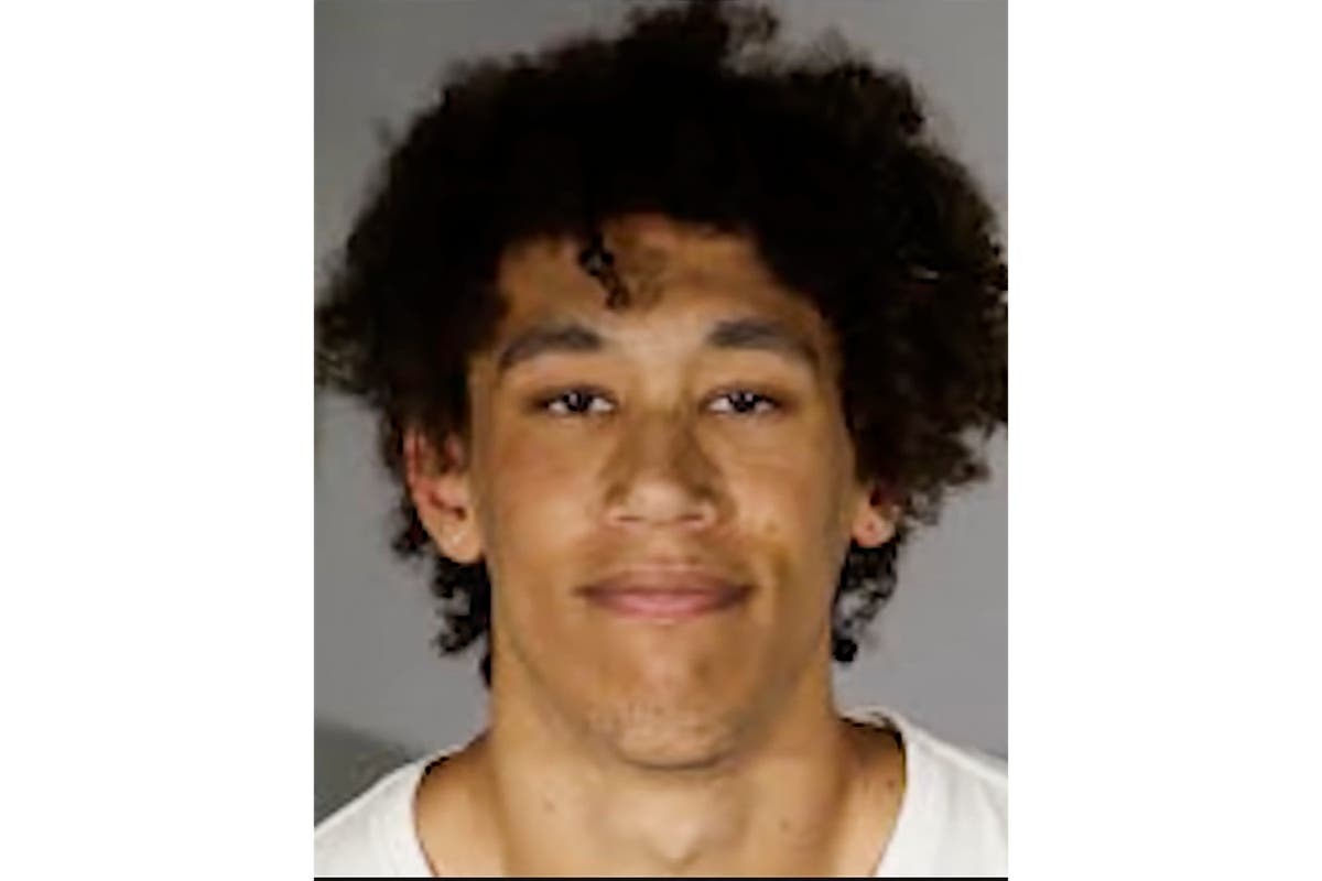 Video shows police use stun gun on NBA's Jaxson Hayes | The Independent