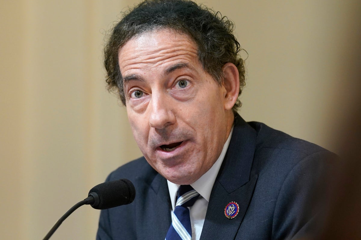 Rep. Jamie Raskin's book 'Unthinkable' coming out Jan. 4 | The Independent