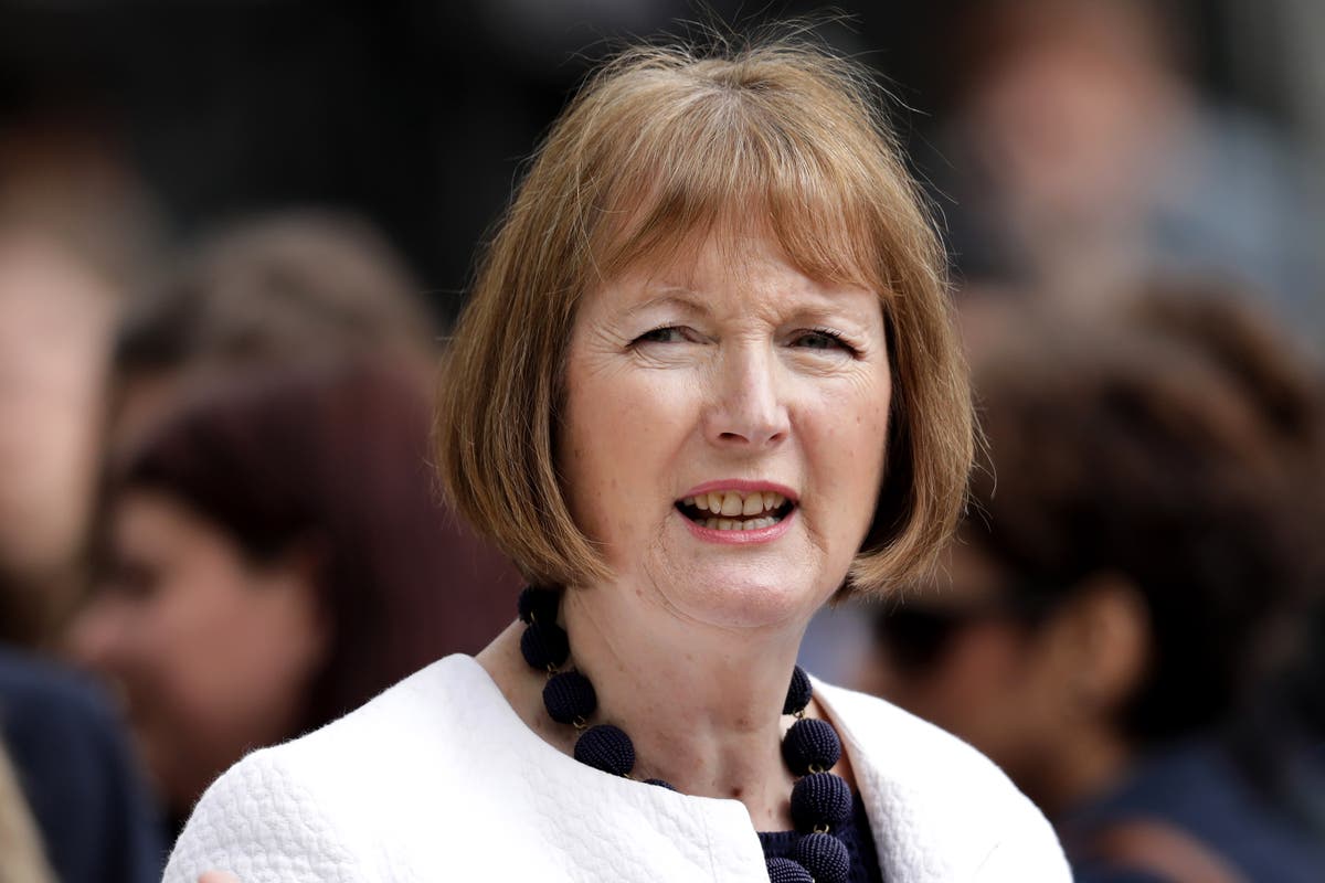 Harriet Harman, feminist and moderniser, declares that Labour is now in ...