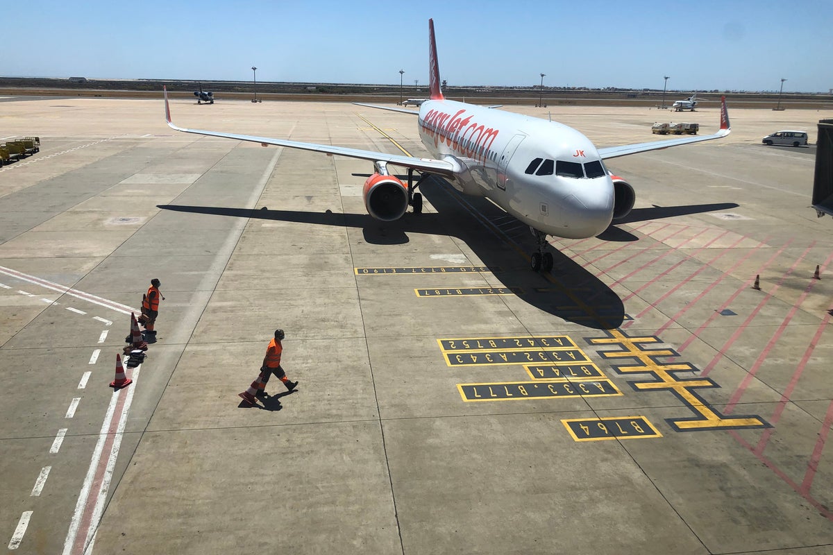 EasyJet ‘optimistic’ despite Omicron setback and Gatwick competition ...