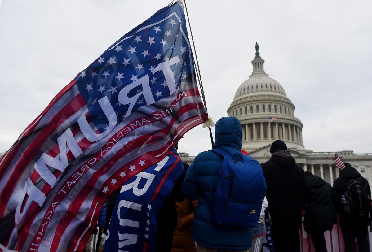 Trump fan accused of tasing police officer at Capitol riot cries and ...