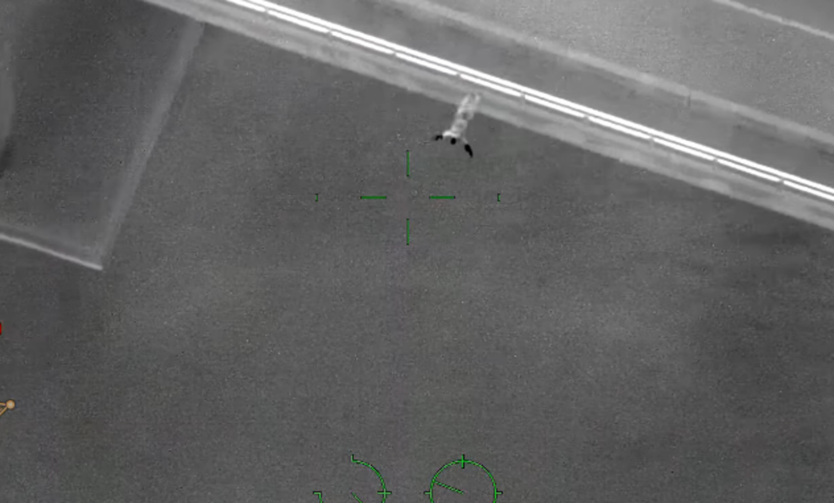 Video shows man diving off 55ft bridge to escape police after high ...