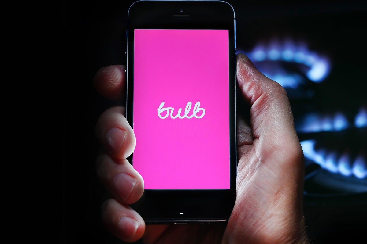 Bulb administration to cost every household £85 | The Independent