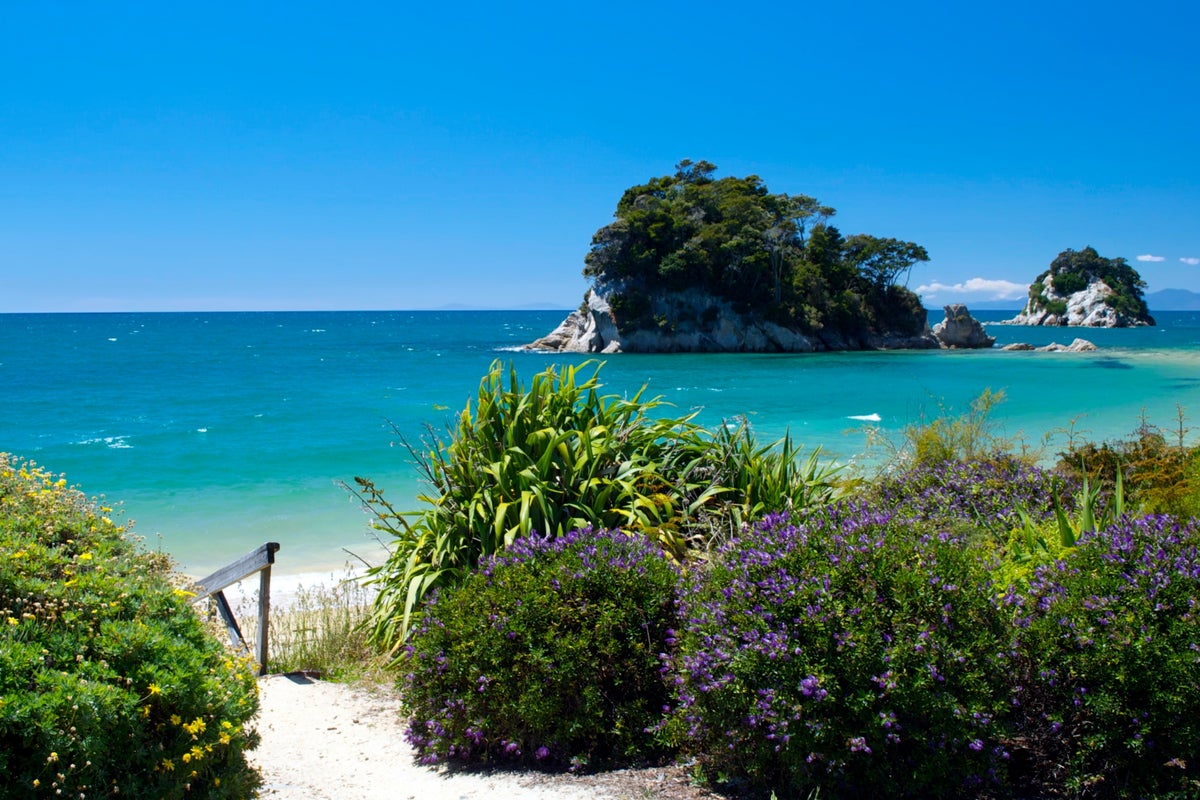 The great return: What New Zealand’s border opening means for one Kiwi ...