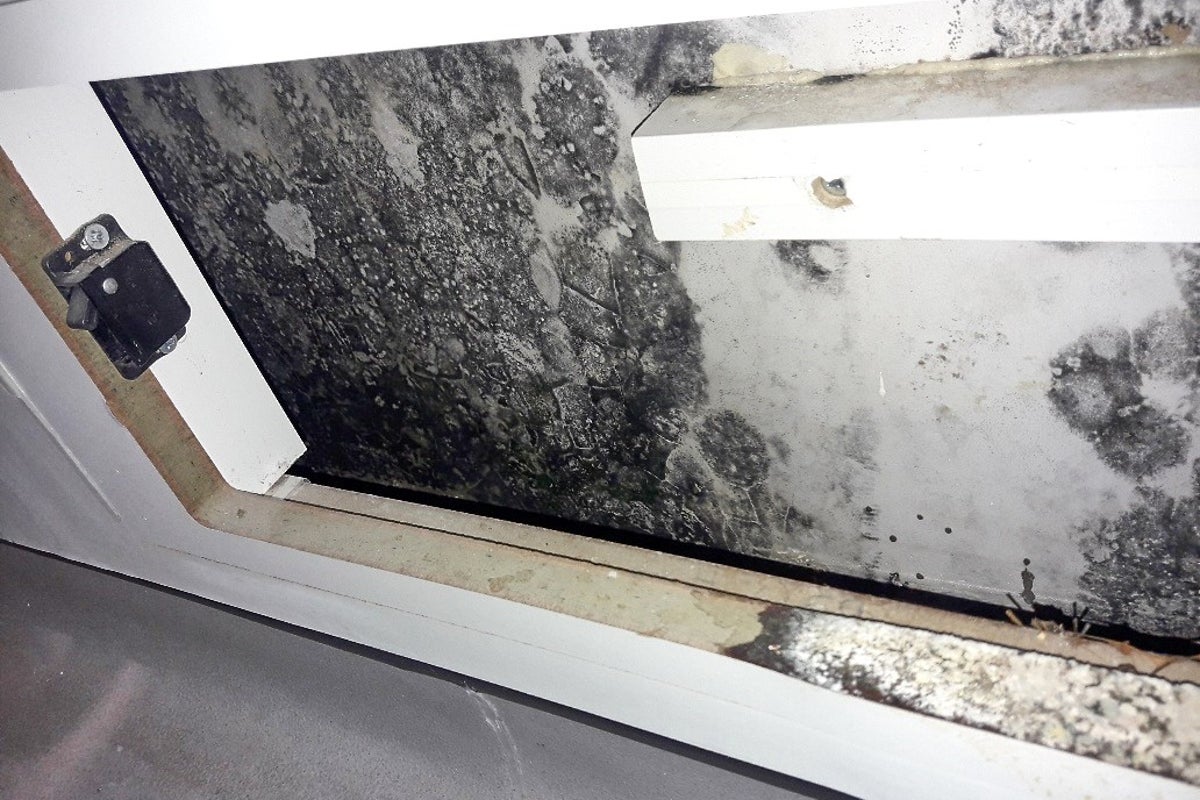 Milly Main’s mum ‘absolutely disgusted’ by mould in scandal-hit ...