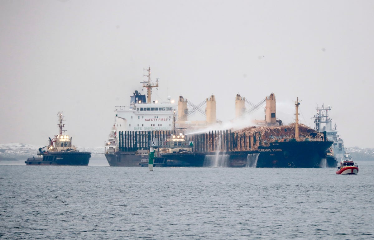Ash Tree Wood Cargo Ship