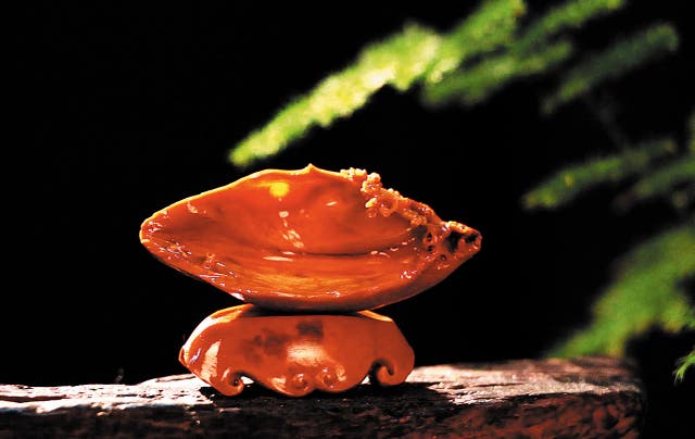 An ancient craft makes a comeback | The Independent