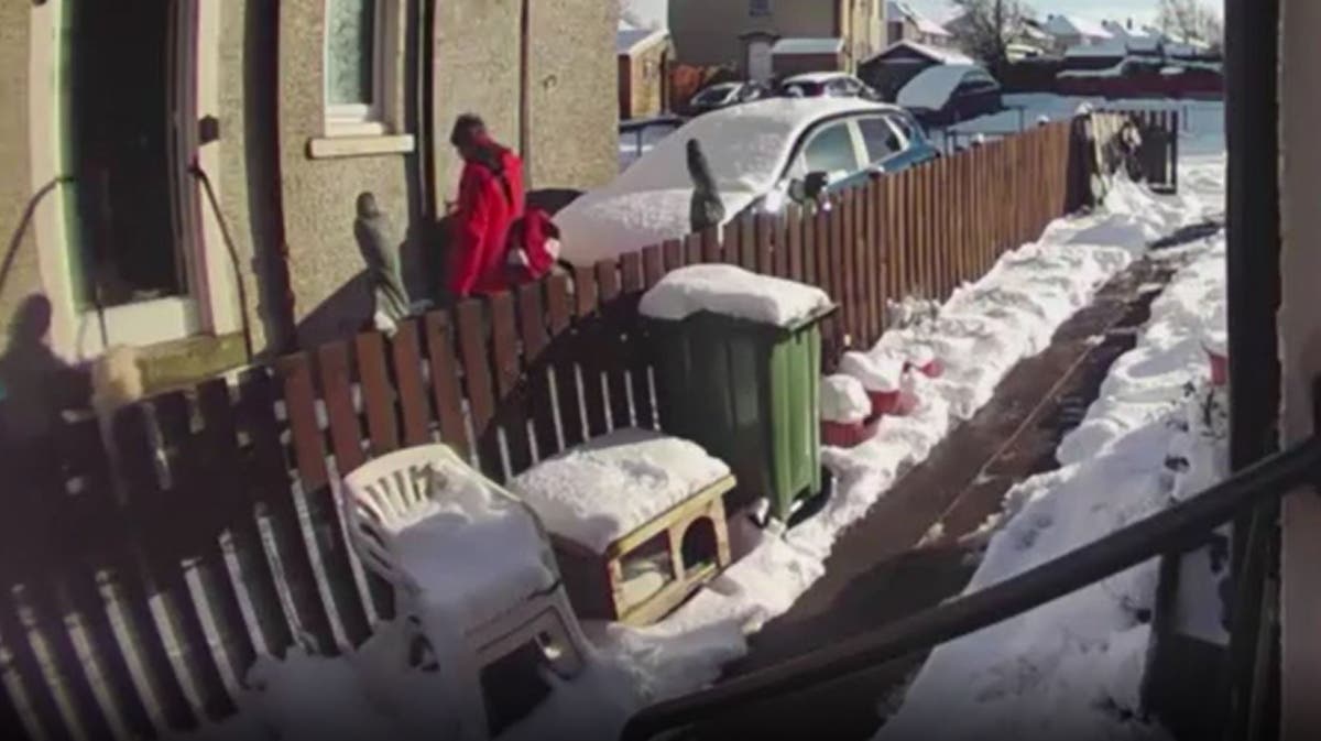 ‘Knackered’ postman who left woman, 72, in snow after fall is sacked by ...