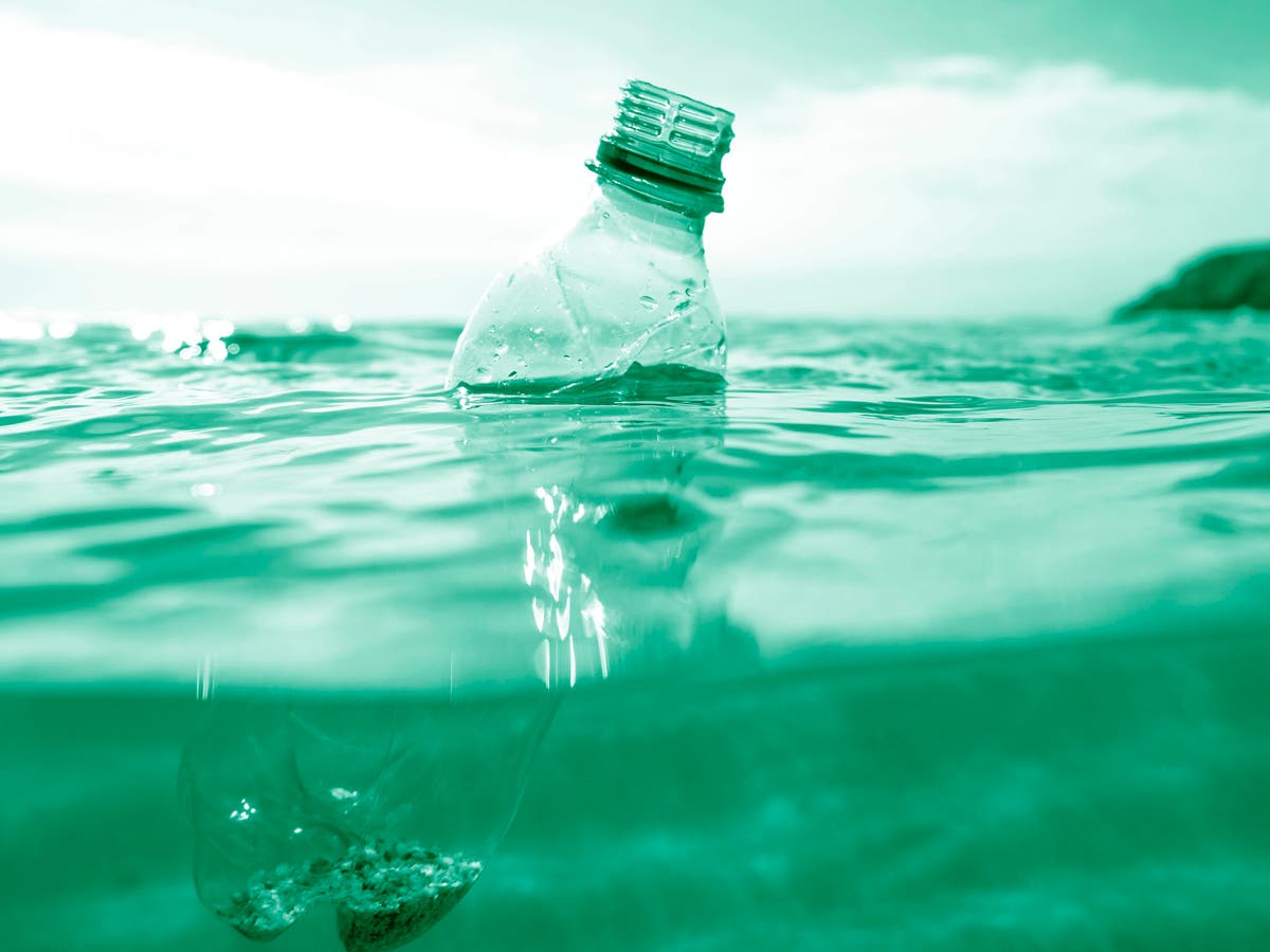 How can you reduce your microplastic intake? | The Independent