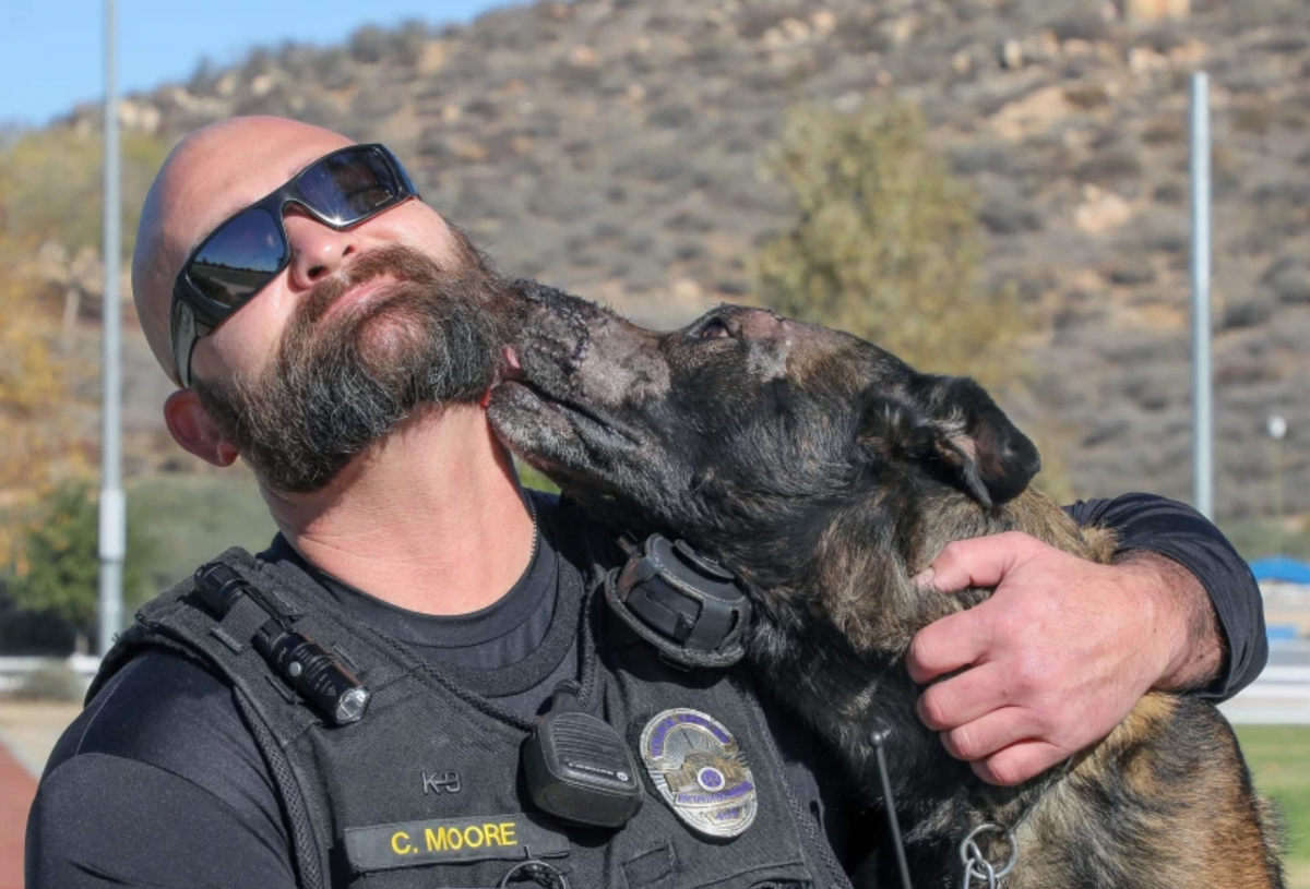 Police dog stabbed 27 times in brutal California attack | The Independent