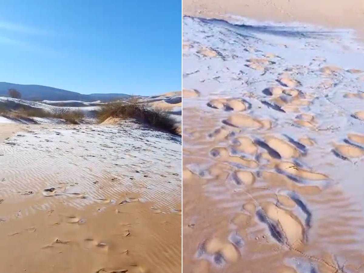 It’s snowing in the Sahara Desert - here’s why | The Independent