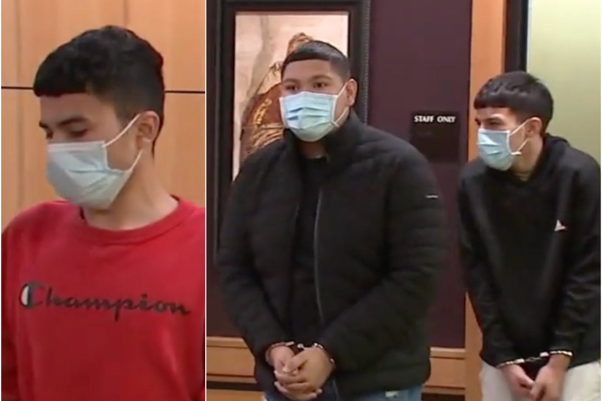 Two brothers allegedly beat stepfather to death claiming he abused ...
