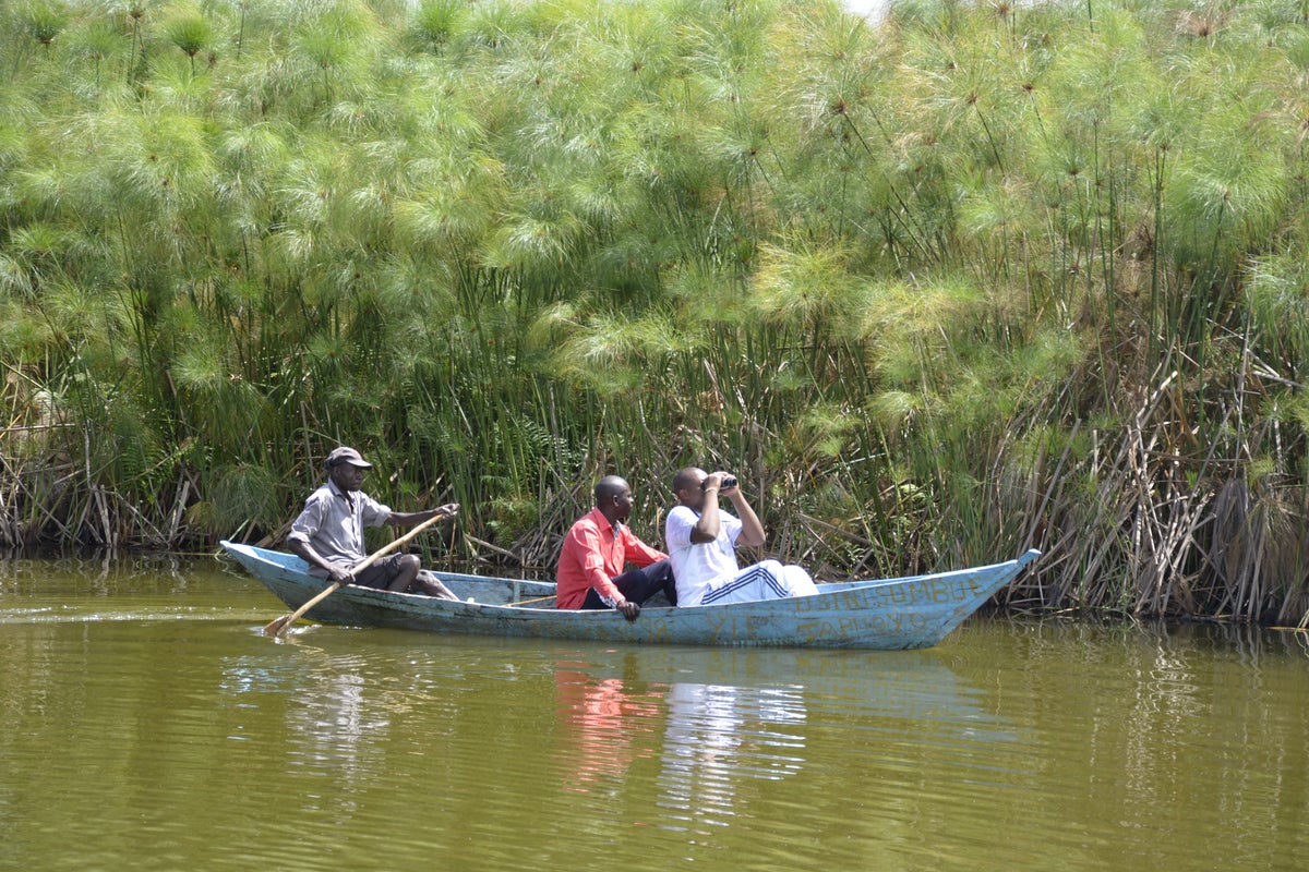 Can local conservation efforts save Kenya’s Yala Swamp? | The Independent