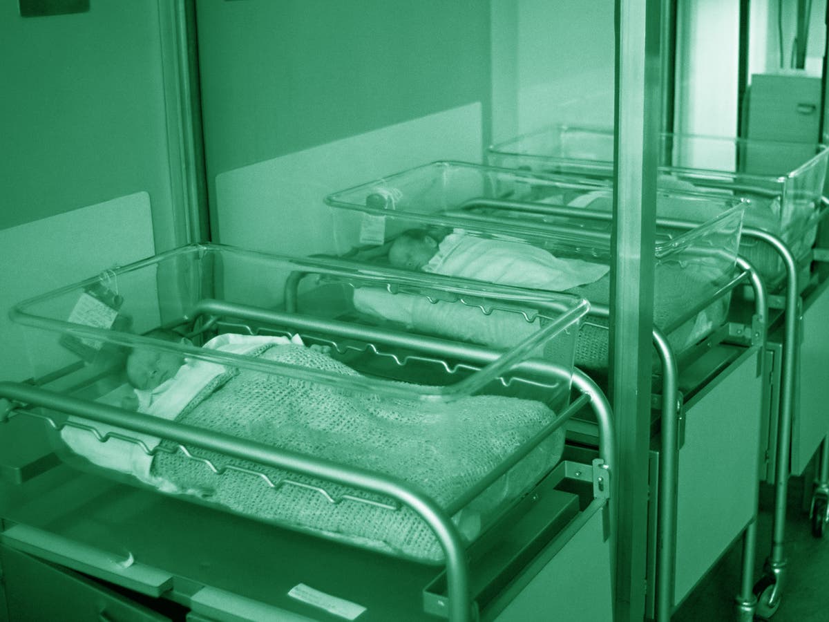 What is antinatalism and how does it relate to the climate? | The ...