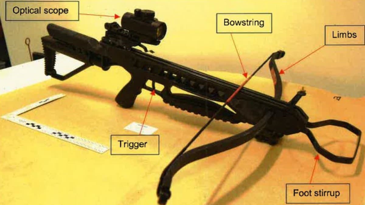 Crossbow attacker given hospital order after shooting and injuring two ...