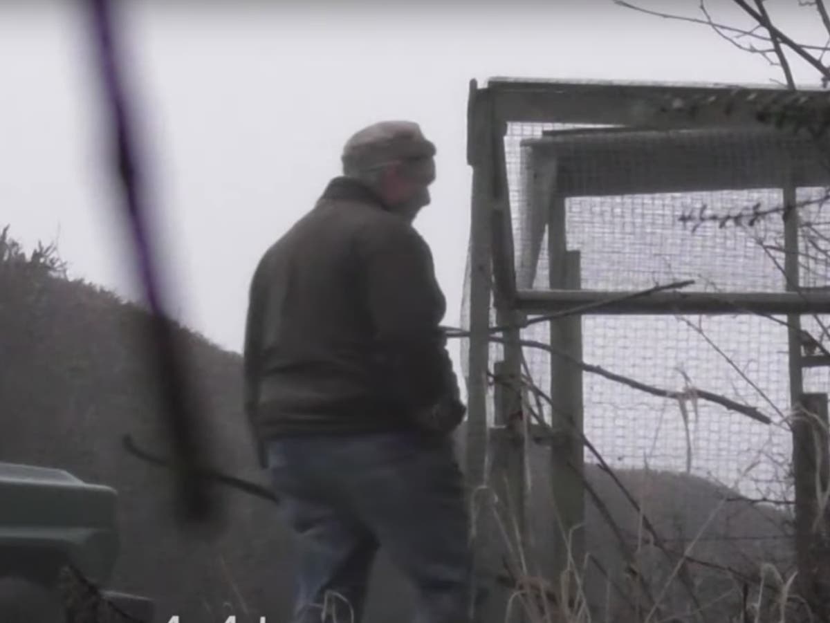 Gamekeeper filmed ‘brutally’ killing buzzards avoids jail | The Independent