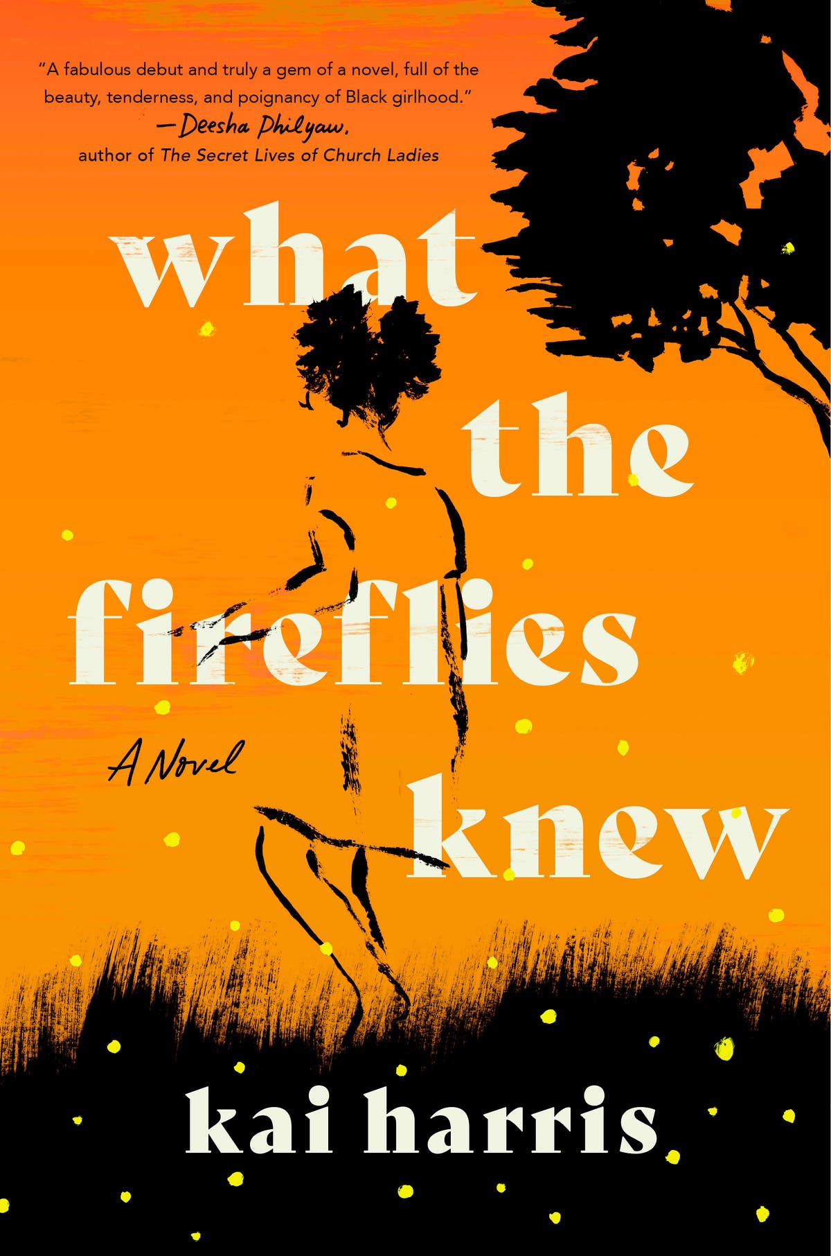 Review: Unique narrator propels 'What the Fireflies Knew' | The Independent