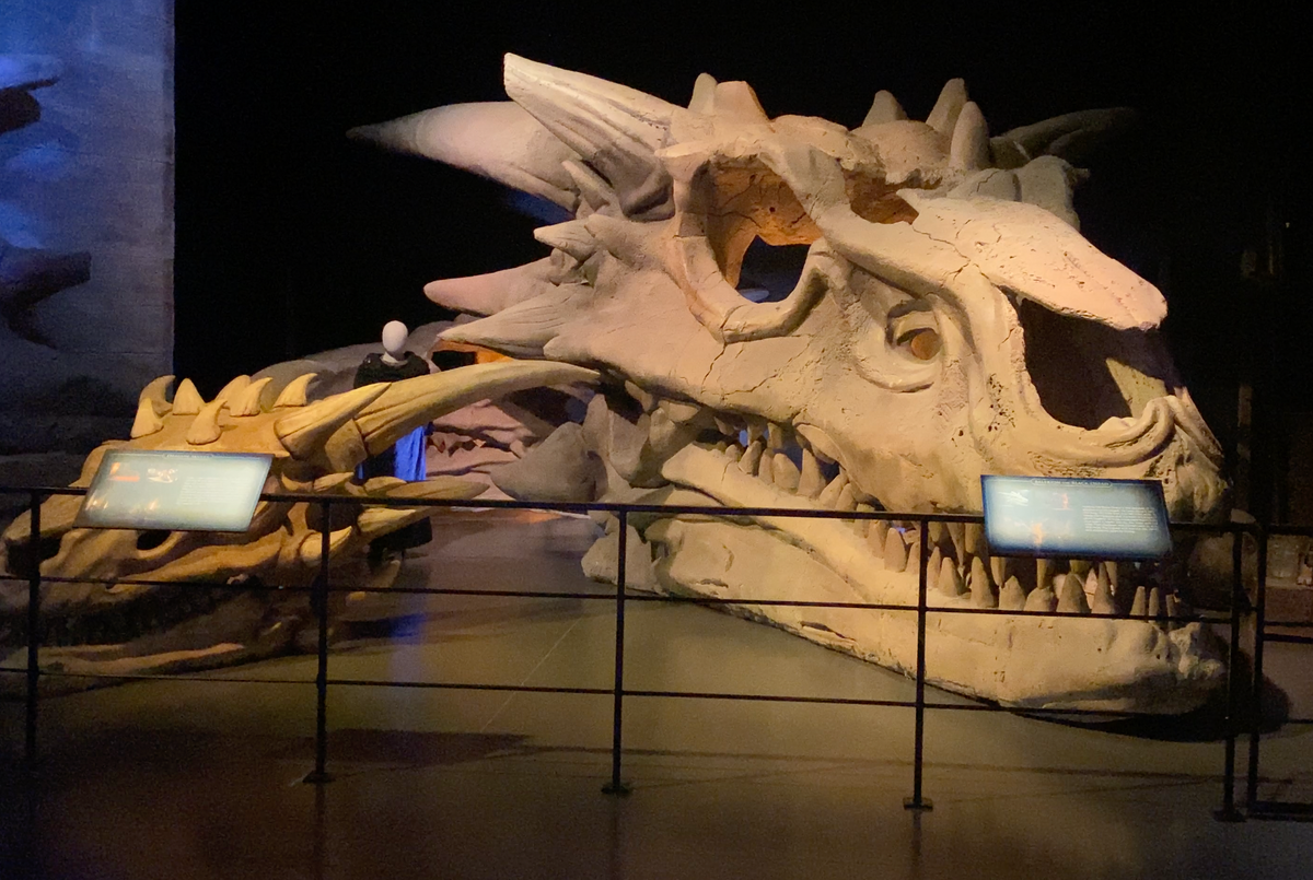 First Game of Thrones studio tour to open this week | The Independent