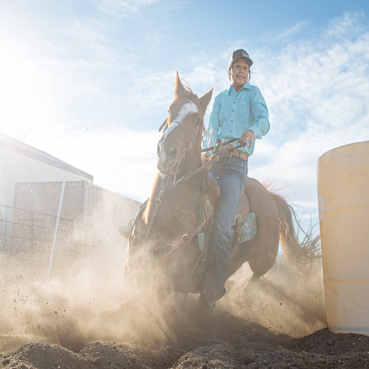 Western Riding Horse Photography
