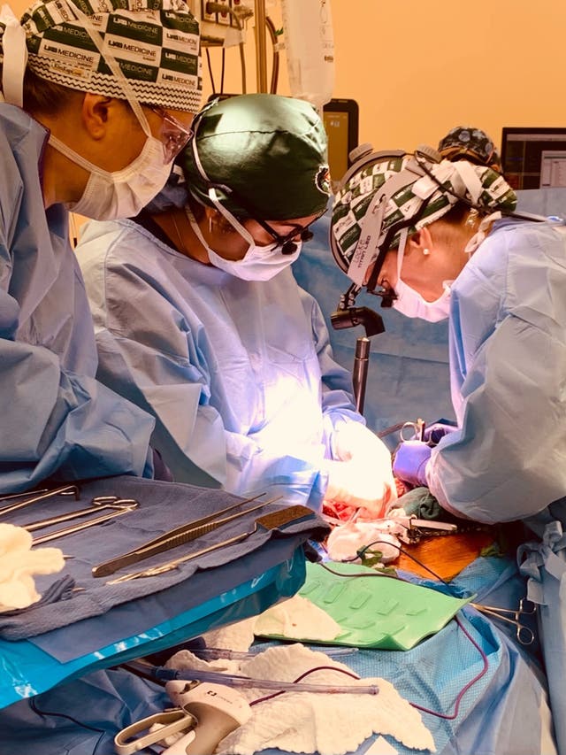 The coming of the xenograft: A history of animal organ transplants ...