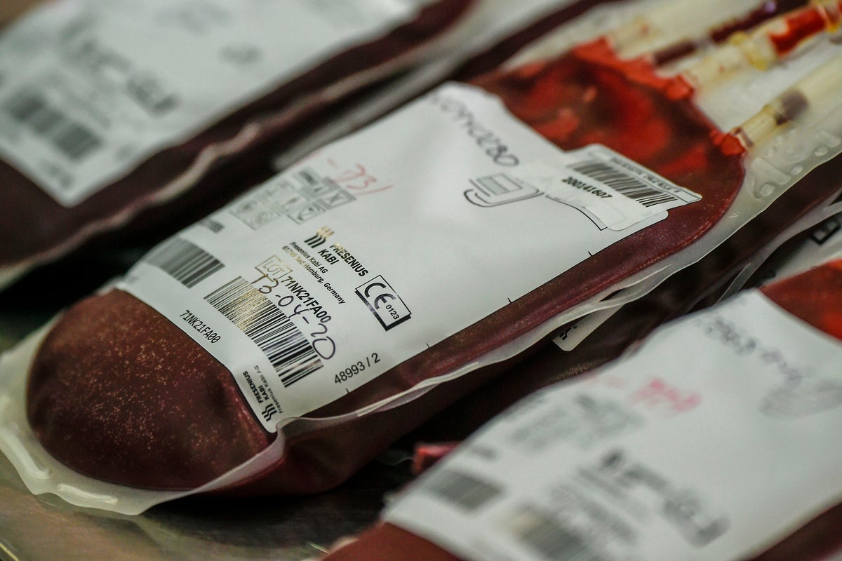 Italian anti-vax parents lose appeal over unvaccinated blood ...