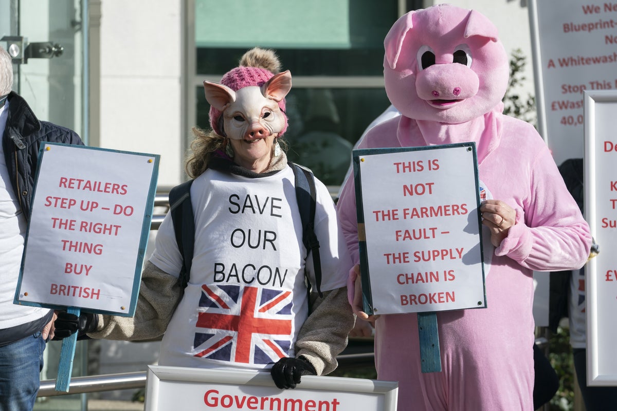 There are plenty of Brexit benefits – just none for the British | The ...