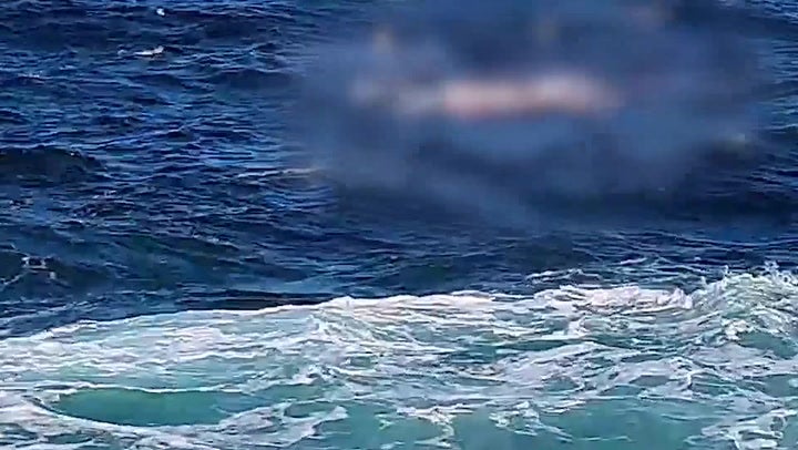 Sydney shark attack victim named as British expat Simon Nellist | News ...