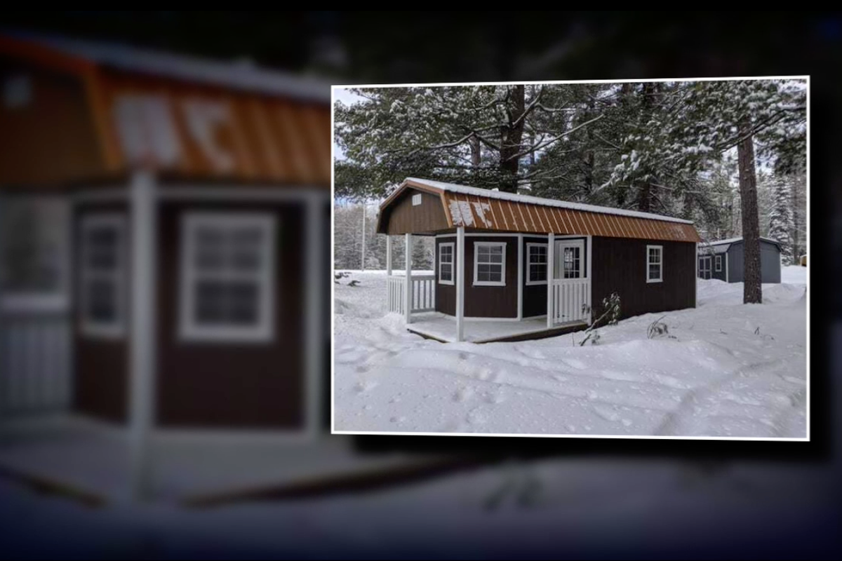 Man’s entire cabin stolen in Michigan: ‘It’s kind of a weird situation ...