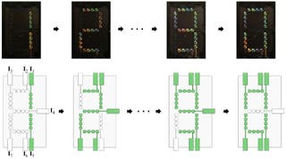 Scientists build camouflage tech using liquid crystals that work like ...