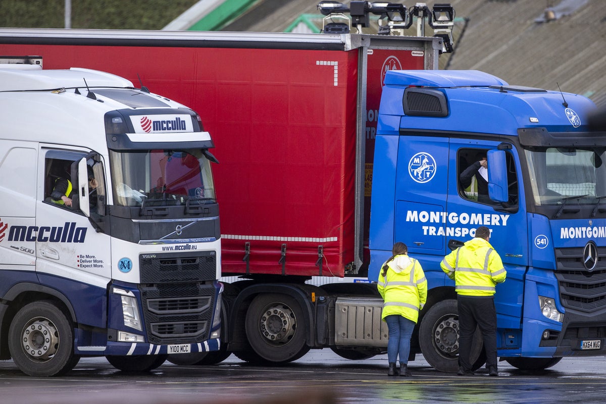 Brexit: Lorry drivers ‘need 700 pages of documents partly written in ...