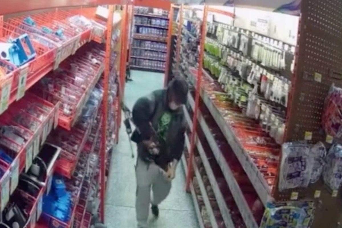 Florida man accused of stealing crossbow by shoving it down his ...