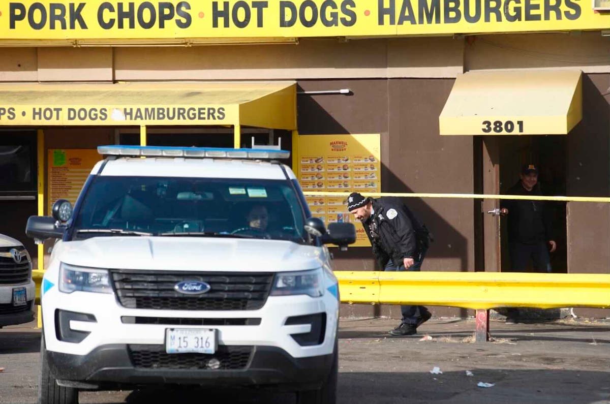 2 Chicago officers wounded in shooting, suspect caught | The Independent