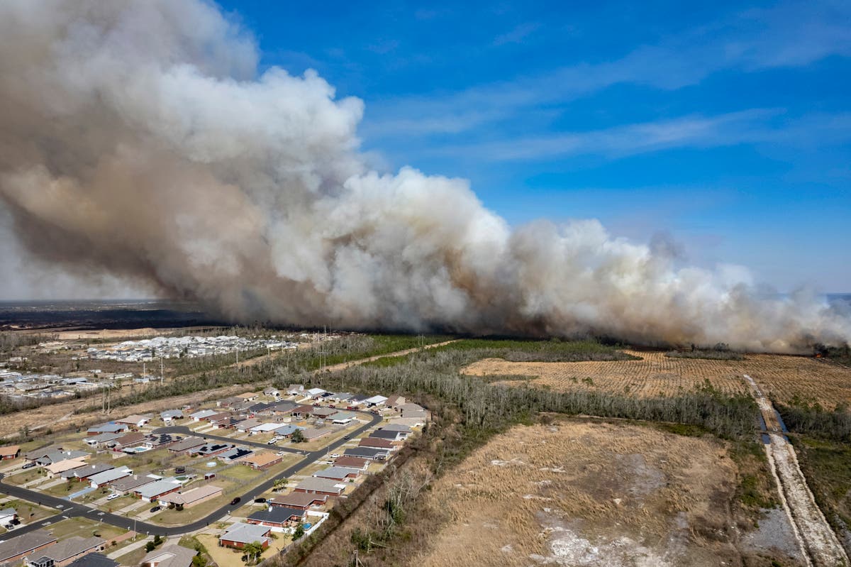 Florida wildfire: Hope for relief from light, steady rain | The Independent